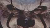 IT: New Look At Pennywise The Clown Is Almost Guaranteed To Give You ...
